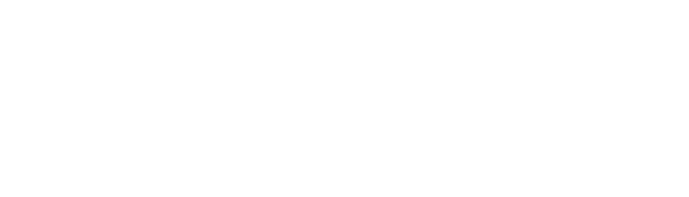 Camp Brain | BIAAZ