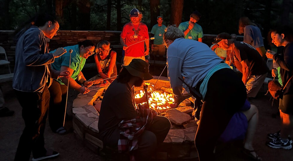 Camp Brain | BIAAZ